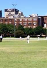 Petition · UNSW is leasing David Phillips ground to a professional ...