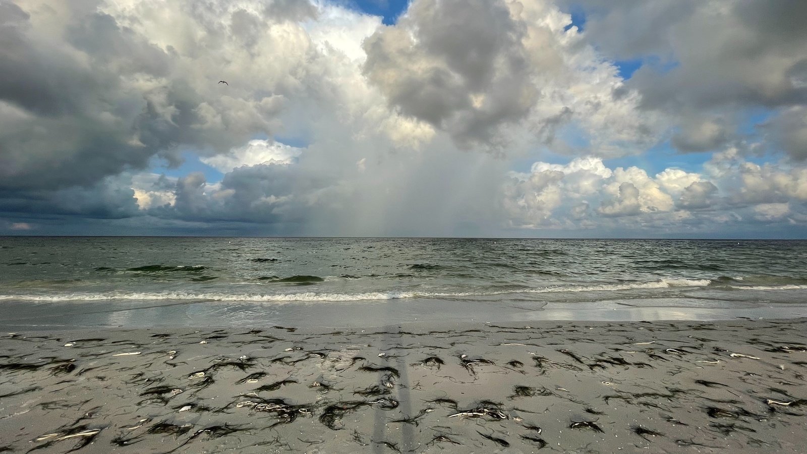 Petition · Clean Ocean and Open Water - United States · Change.org