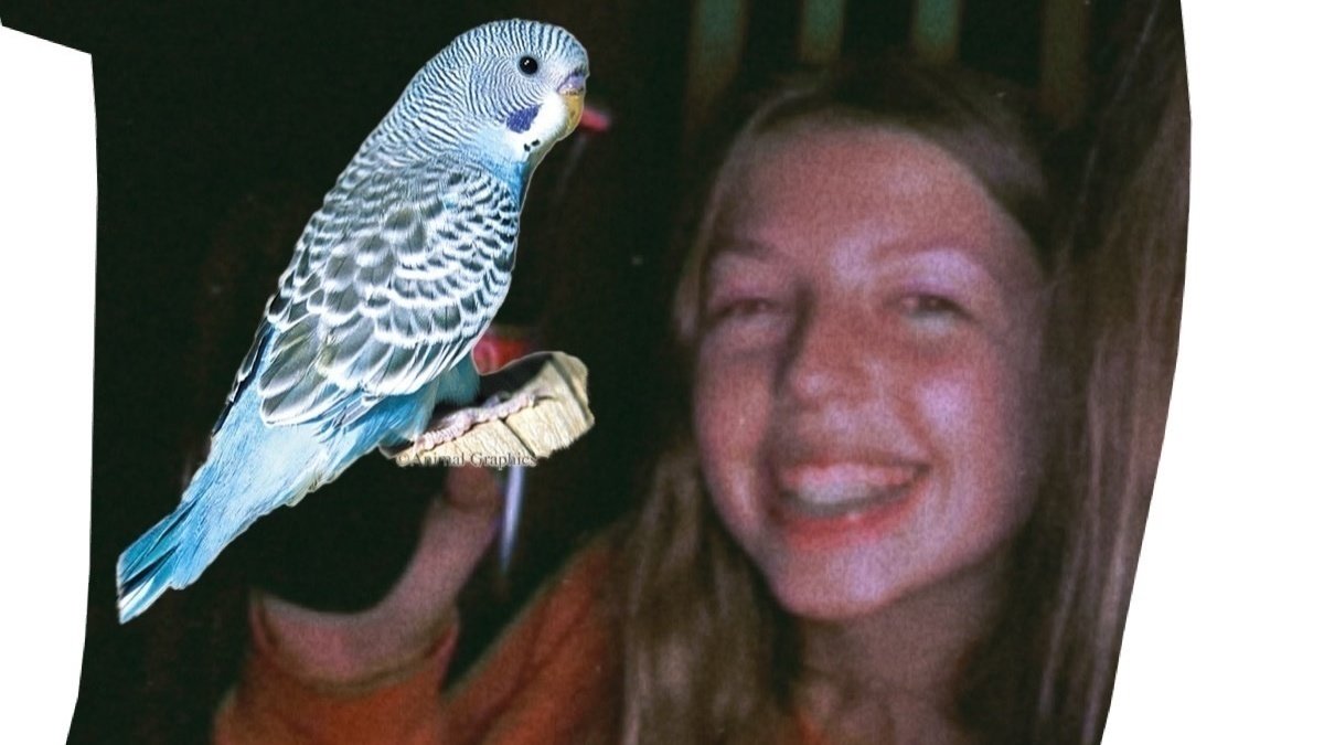 Petition · Convince izzys parents to get her a bird - United States ...