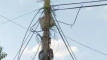 Petition · NO to Telkom Fibre Poles Infrastructure in Kalafong Heights ...
