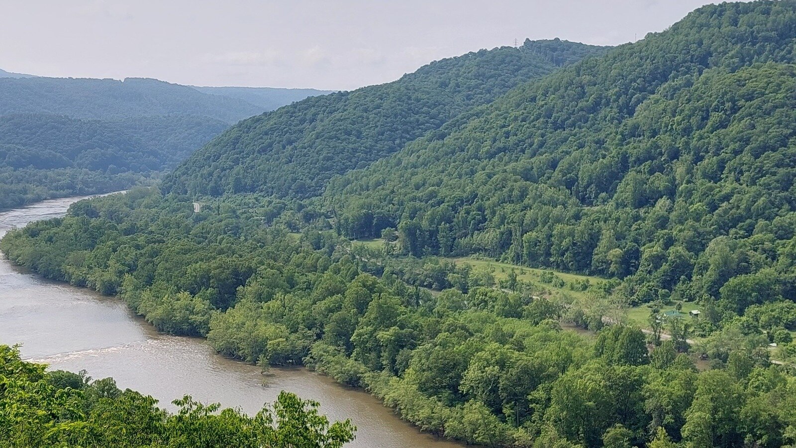Petition · STOP FLUSHING OUR FORESTS! - United States · Change.org