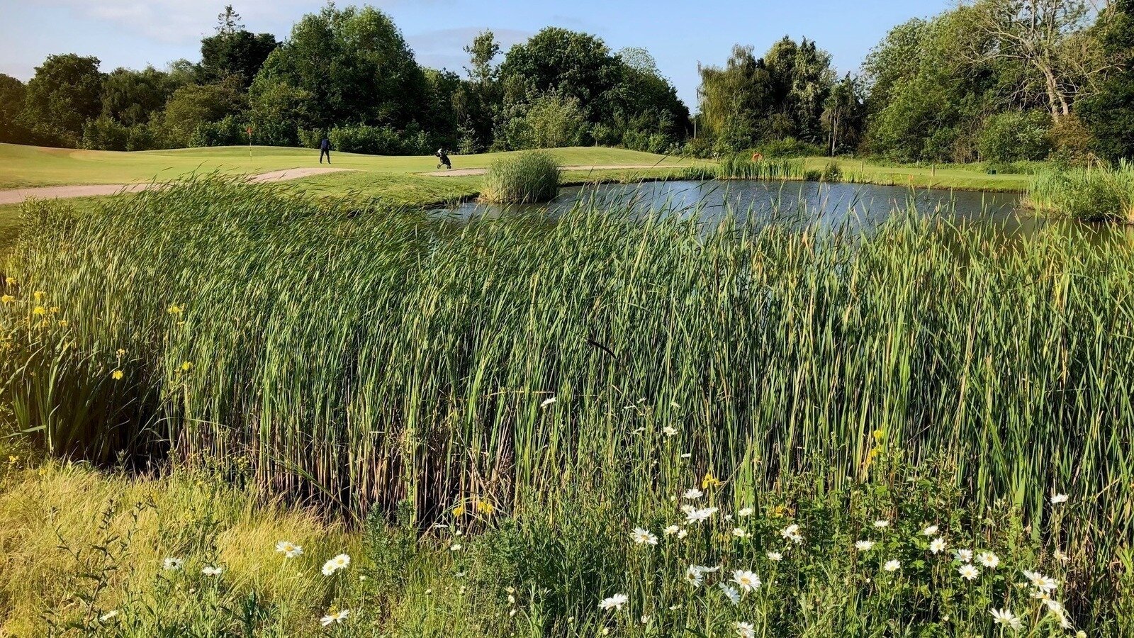 Petition · Keep Denne Hill Green Say NO to 800 houses at Horsham Golf ...