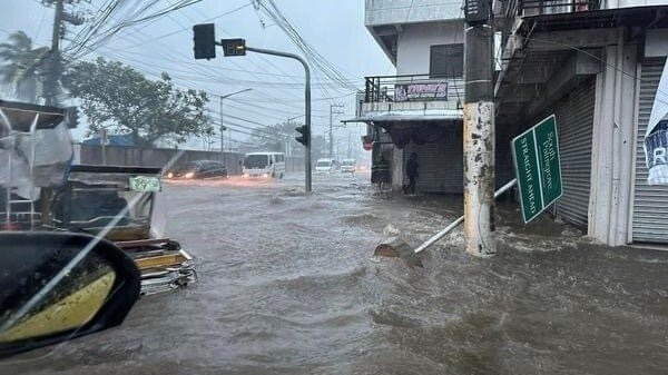 Petition · Restore Lipa City’s Green Future: Plant more TREES! - Lipa ...