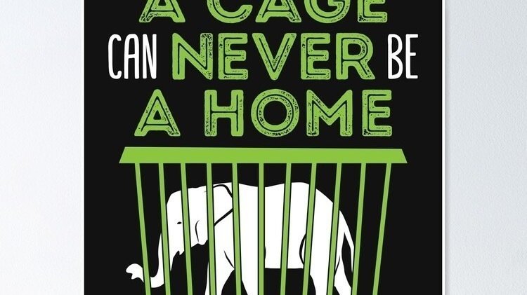 Petition · Help stop zoos and animal captivity - United States · Change.org