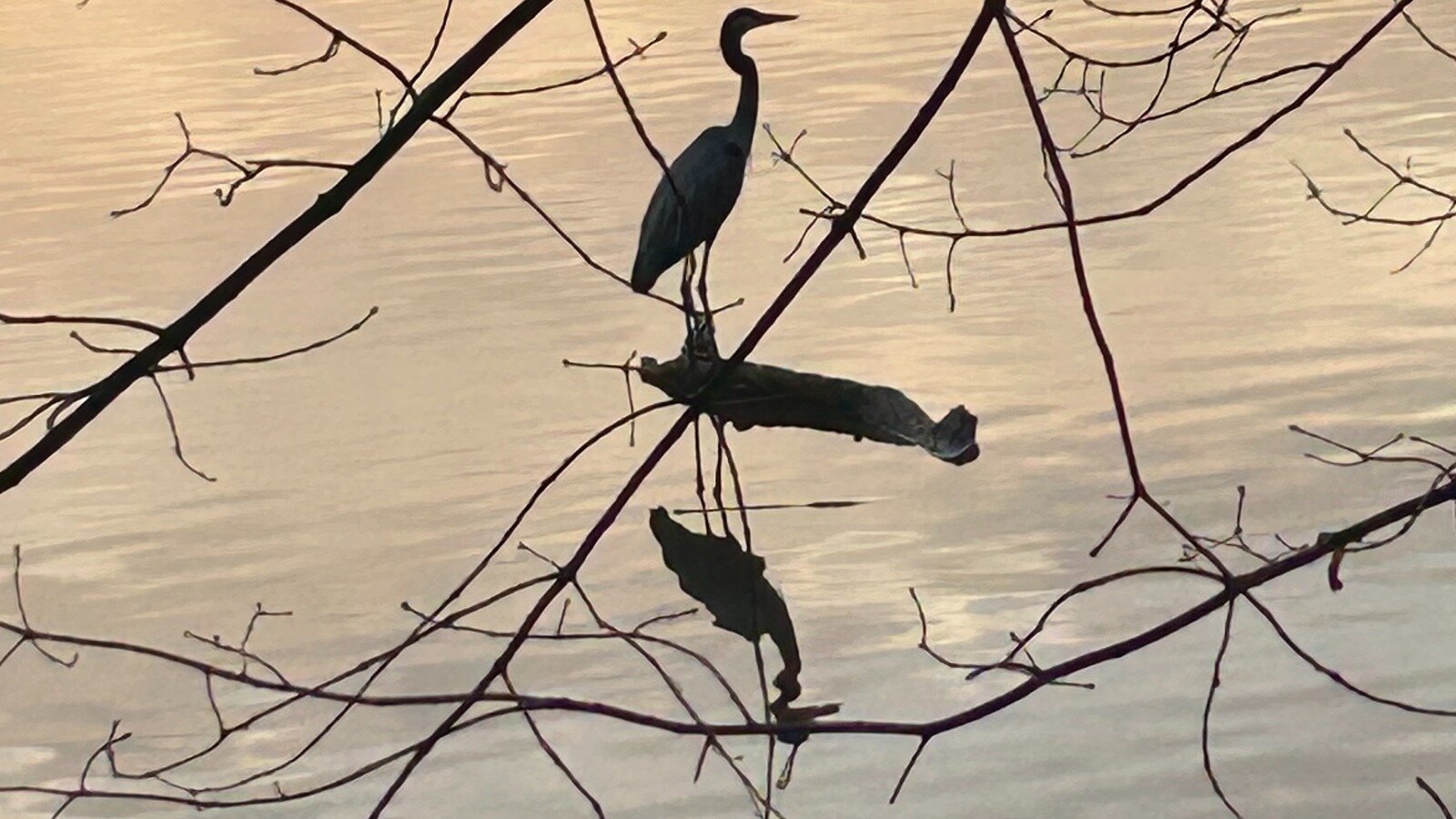 Petition · STOP THE DESTRUCTION. SAVE THE LAKES. - Cleveland, United ...