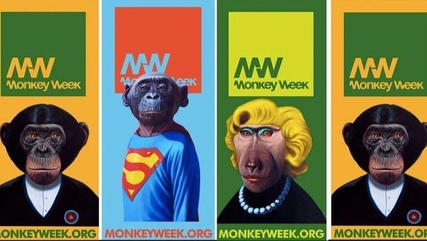 Petición · Una plaza para el Monkey Week en El Puerto de Santa María ...