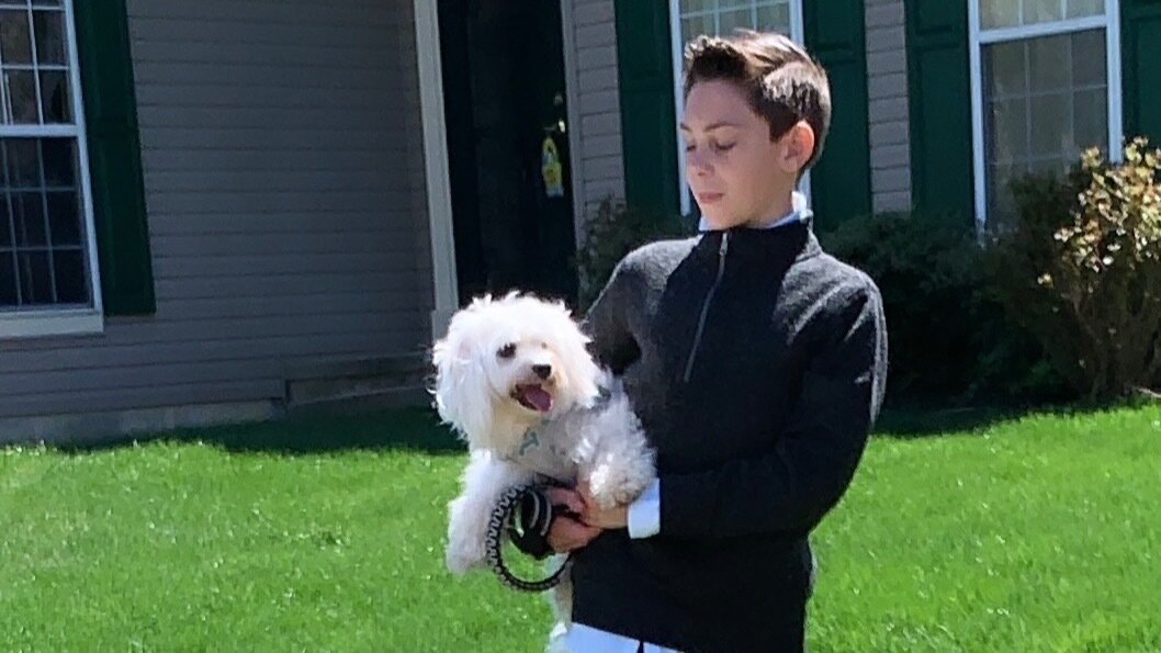 Petition · Demand Criminal Accountability and Stricter Dog Control Laws ...