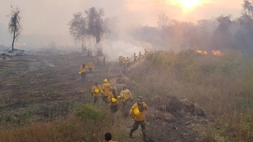 Petition · Help to put out the fire, AMAZON-BOLIVIA needs help - Santa ...