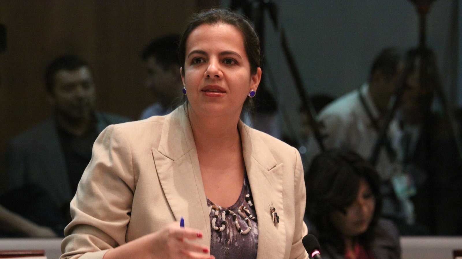 Petition · Rechazo a la asignación de Ma. Paula Romo como profesora en ...