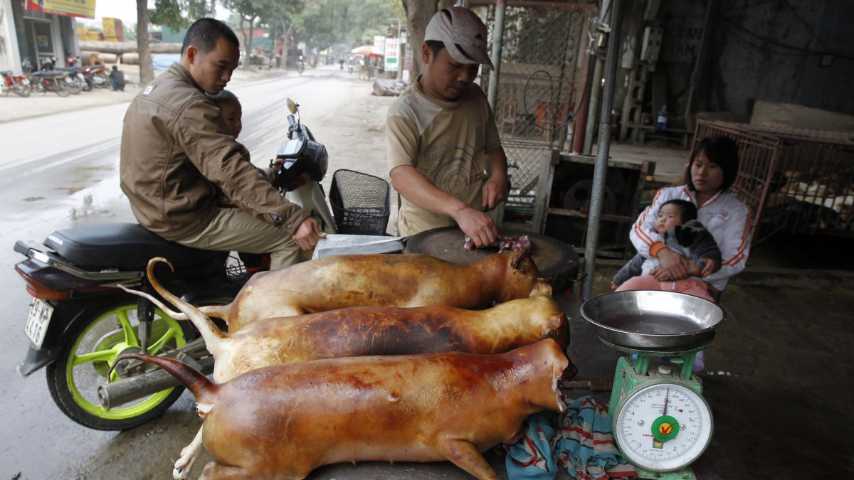 Petition · To Prime Minister of Cambodia Hun Sen: Stop dog meat trade ...