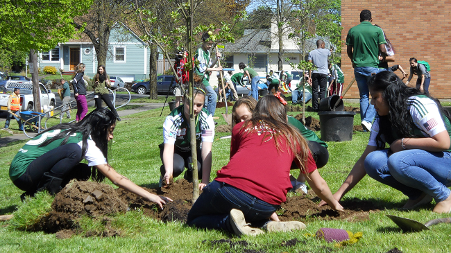 Petition · Plant more trees on campus and courtyards around our schools ...