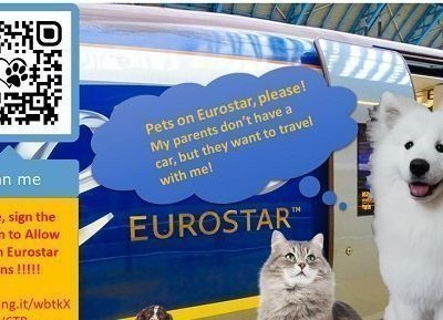Can Dogs Go On The Eurostar