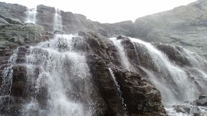 Petición · SALVEMOS EL PARQUE YERBA LOCA · Change.org