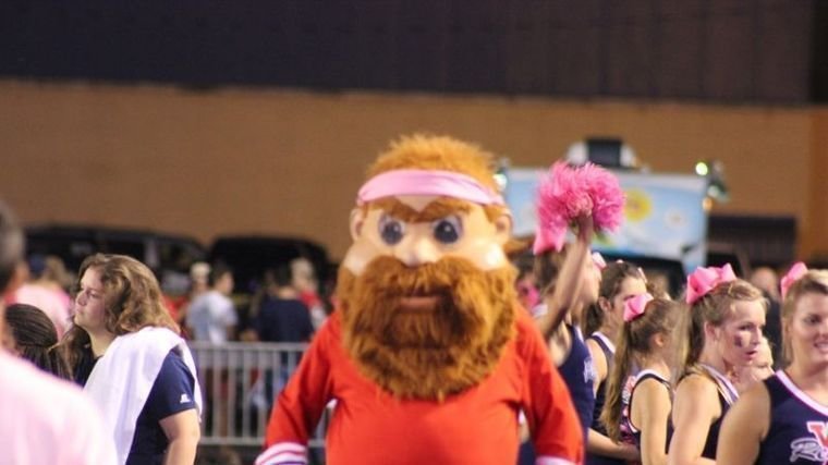 Petition · Hands of my West Monroe High School Mascot and Flag - United ...