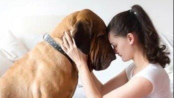 Petition update · Some possibly inflammatory comments and finally some ...