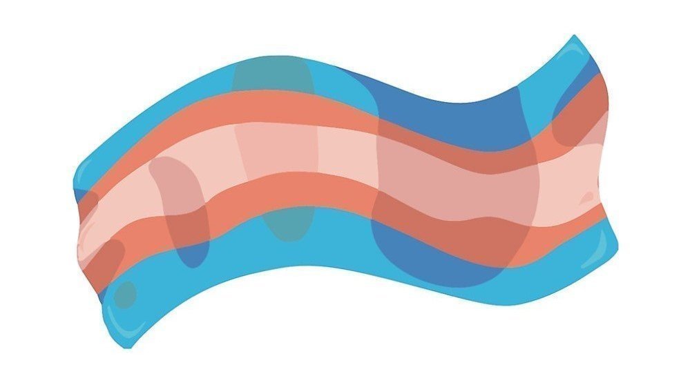 Petition · Make Trans bacon, not just gay bacon - New Zealand · Change.org