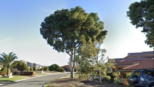 Petition · Save the last street tree in Cordelia Place, Alexander ...