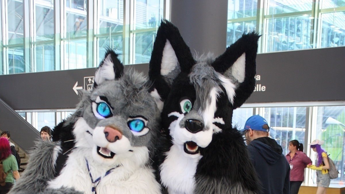Petition · make aarav a furry and give justice to furries - United ...