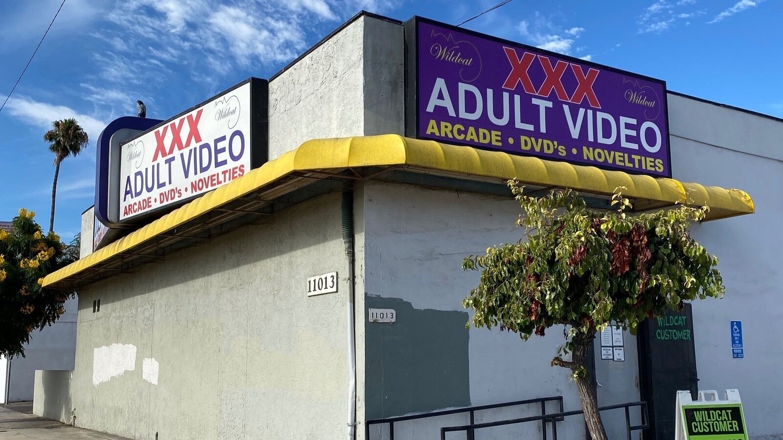 Petition · Save Historic Adult Store - The Wildcat, from Zoning Changes ...