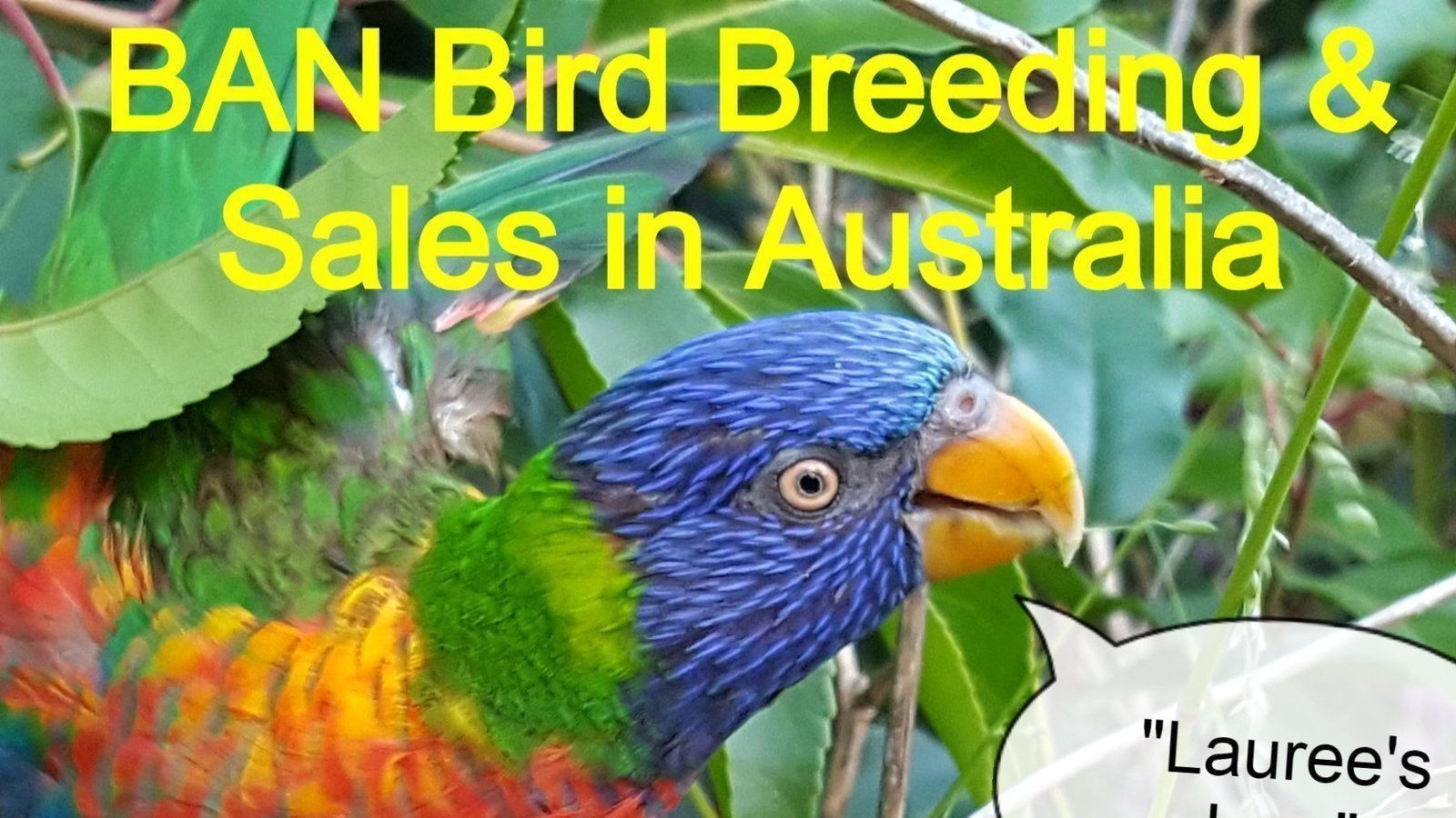 Petition update · Australia: Bird abuse continues · Change.org · Change.org