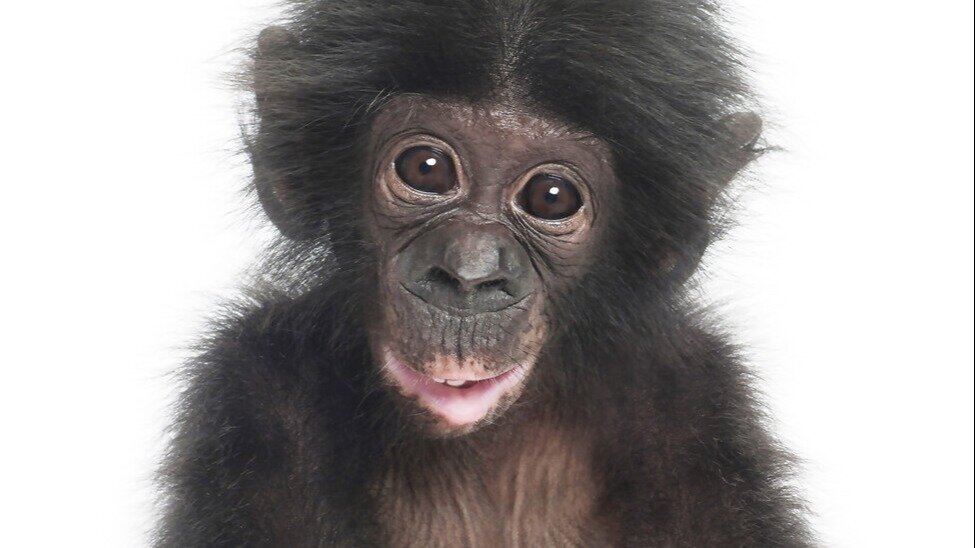 Petition · Allow Responsible Use of Cell Phones in Schools for Improved ...