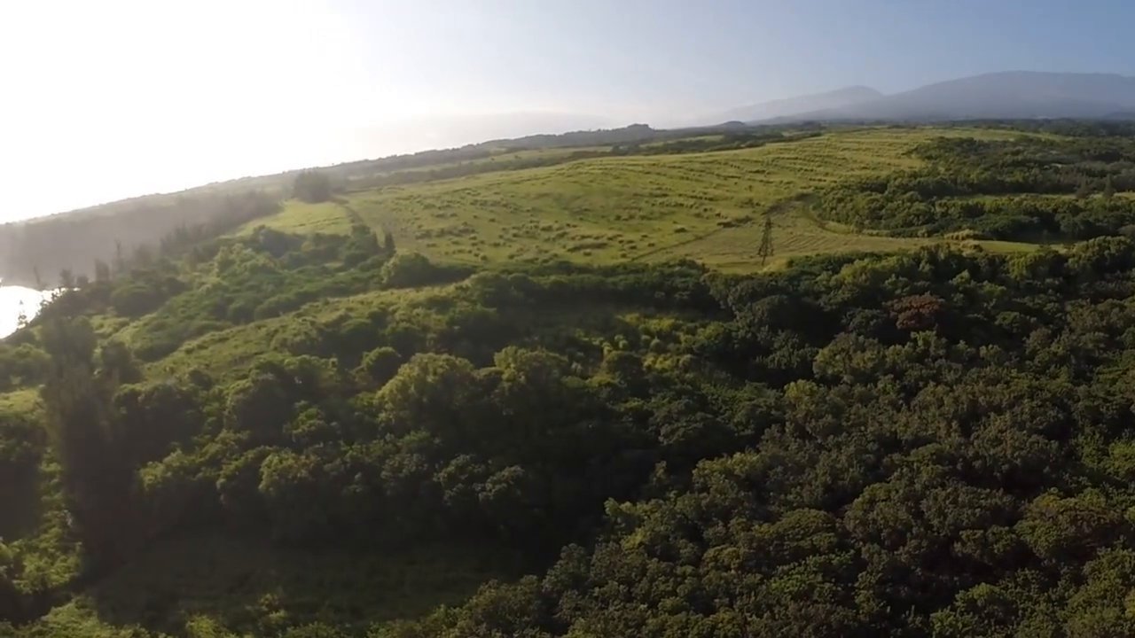 Petition · Support Open Space Funding for Preservation of JAWS Surf ...