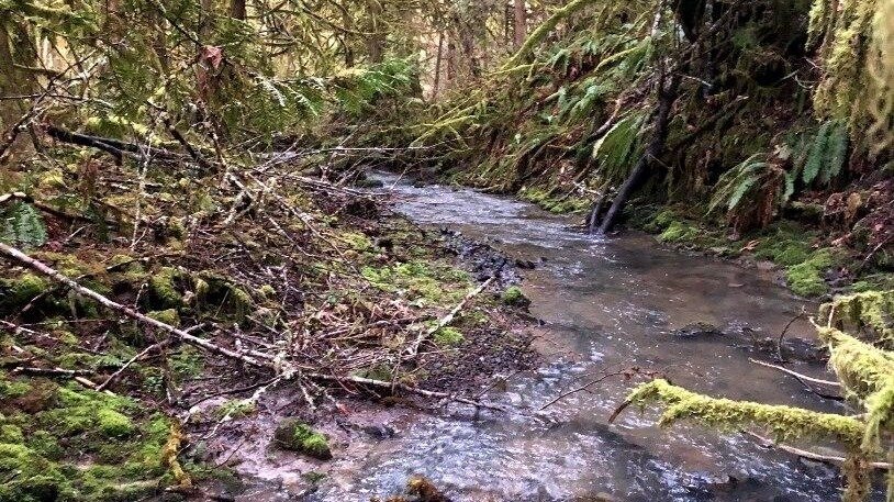 Petition · Stop 882 Tile Flat road expansion - United States · Change.org