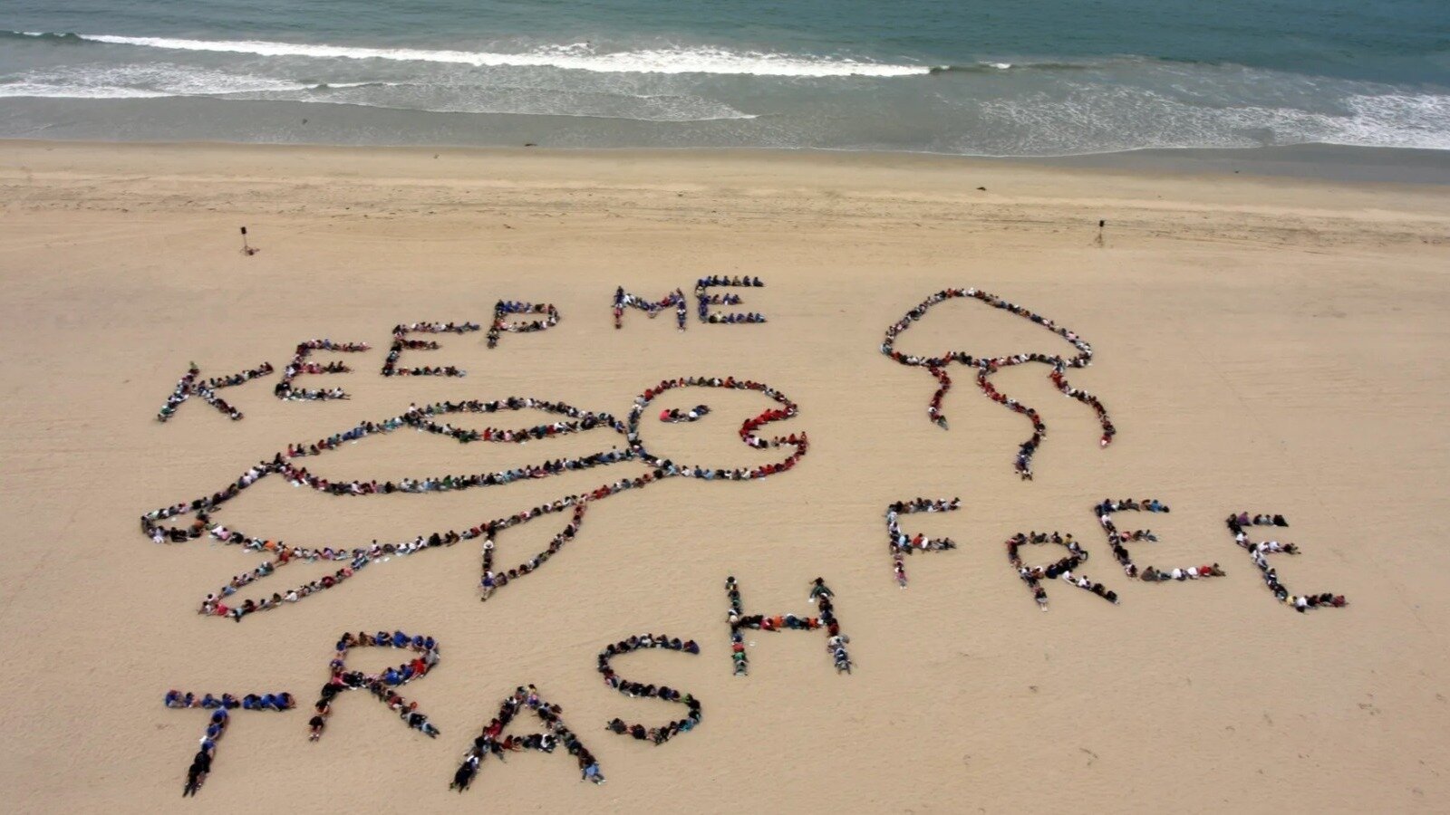 Petition · Celebrate World Oceans Day and Make the Ocean Cleaner June 8 ...