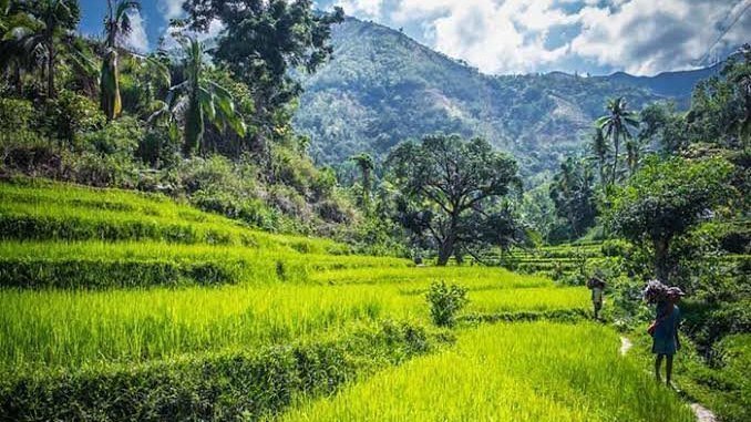 Petition · The Gradual Increase of Environmental Problems In the ...
