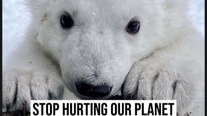 Petition · Stop Hurting Our Planet - United States · Change.org