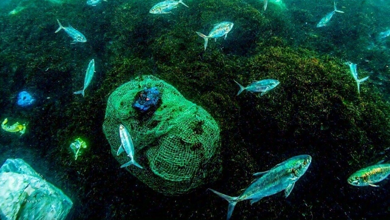 Petition · Destruction of the Oceans due to Pollution ang Overfishing ...