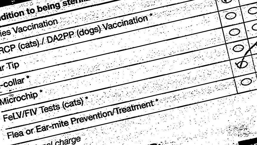 Petition · Continue to offer optional FeLV/FIV SNAP Testing Services at ...