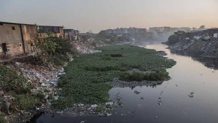 Petition · Save the Mithi River - India · Change.org