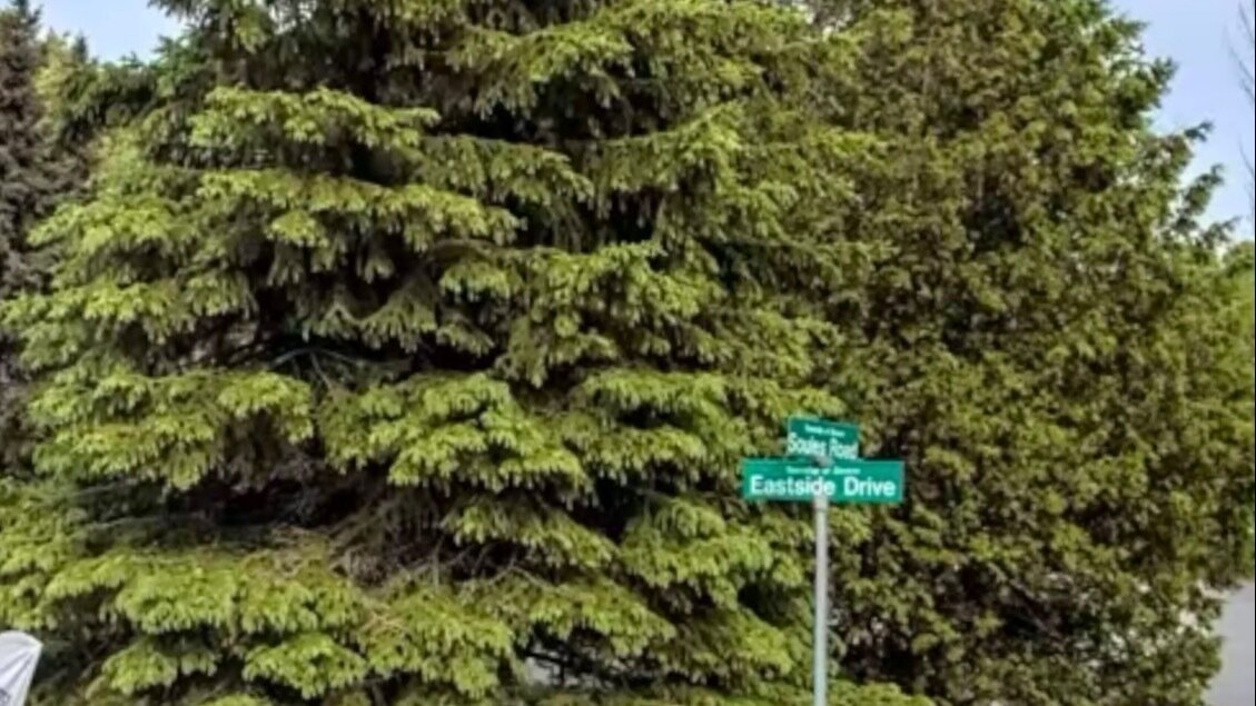 Petition · Install Speed Deterrent on Eastside Drive - Ardtrea, Canada ...