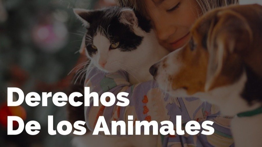 Petición · DERECHO DE LOS ANIMALES - Ecuador · Change.org