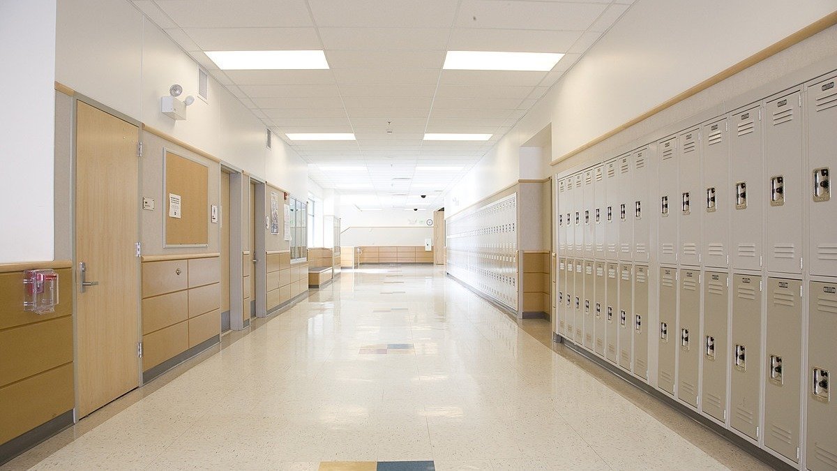 Petition · SAVE & PROTECT THE SCHOOLS- WE NEED METAL DETECTORS AND ...