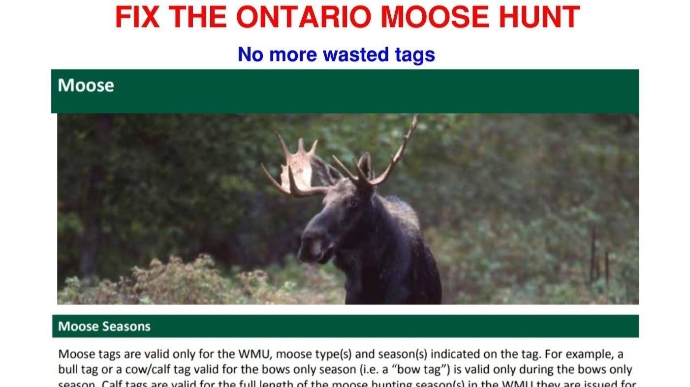 Petition Fix The Ontario Moose Tag Allocation NO More Wasted Tags petition-fix-the-ontario-moose-tag-allocation-no-more-wasted-tags