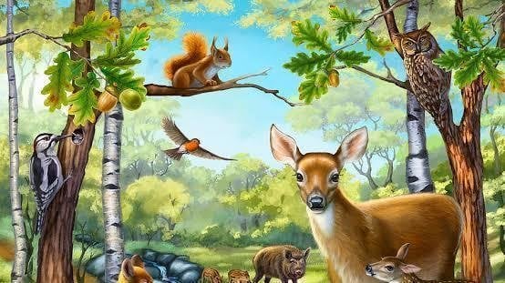 Petition · SAFE ENVIRONMENT, HABITAT SAFETY , SAVE THE ANIMALS ...