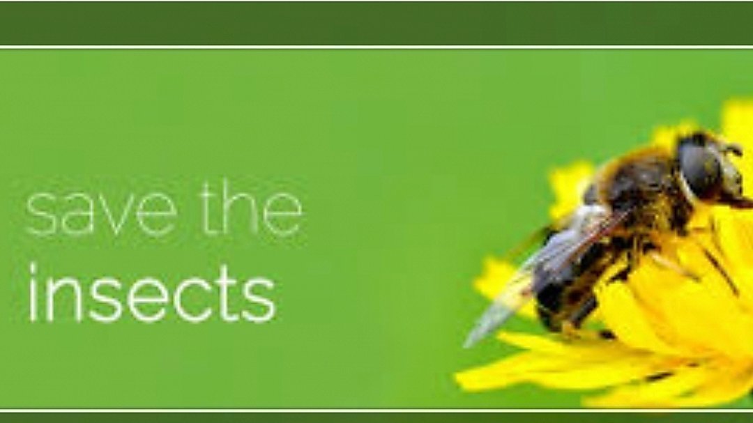 Petition · Arrêter les tueurs d'insectes - Canada · Change.org