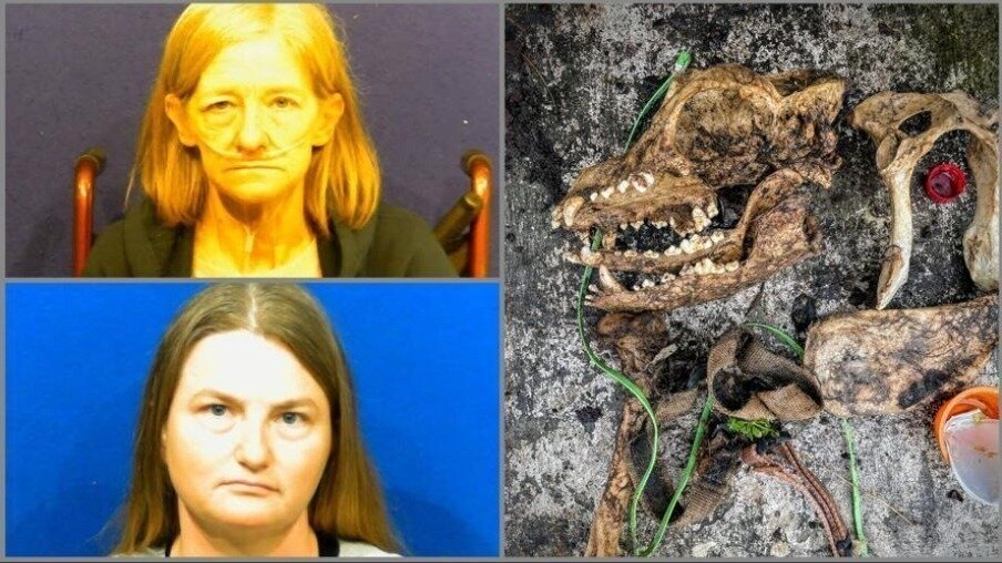 Petition · Justice for the voiceless - United States · Change.org