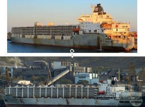 Petition · ALL Old Live Animal Export Ships MUST be banned from ...