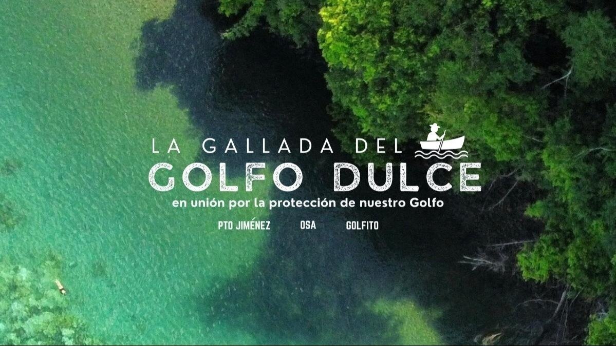 Petición · PETICIÓN PARA PROTEGER EL GOLFO DULCE: - Costa Rica · Change.org