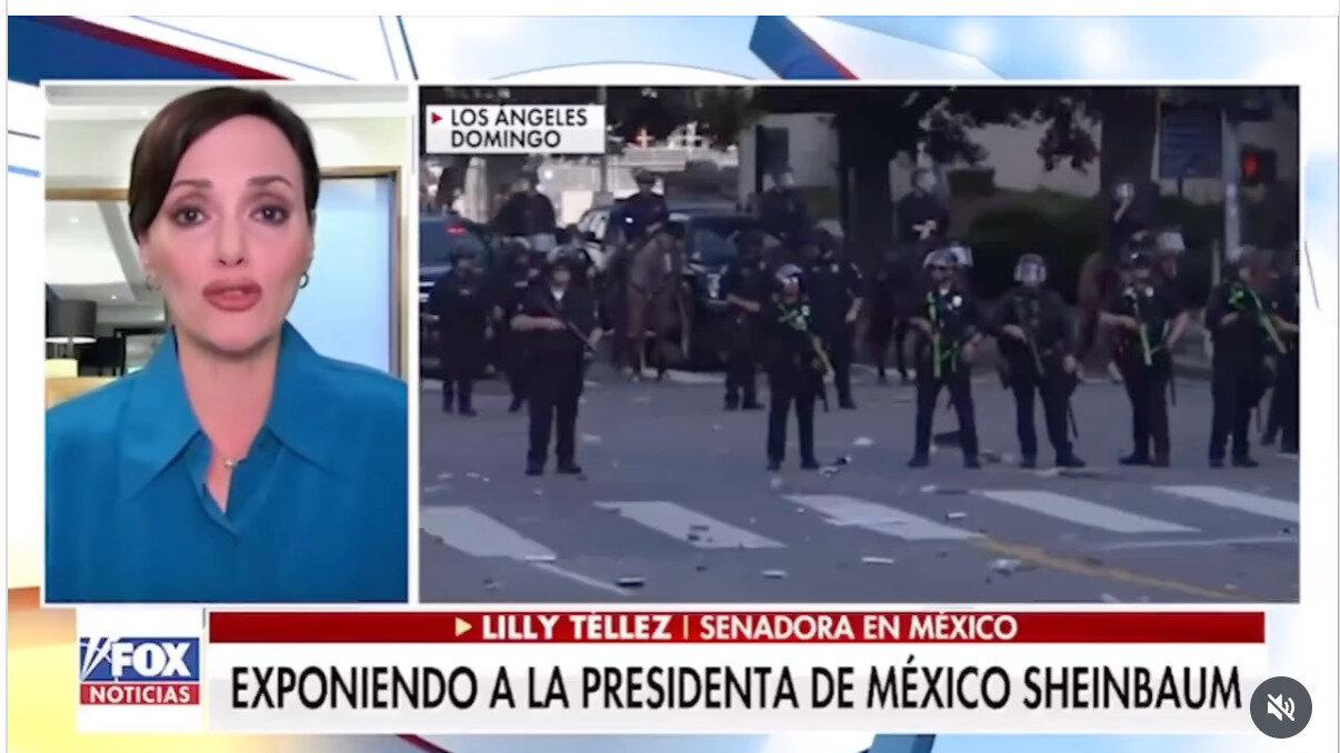 Petición · Exijamos la remoción de la senadora María Lilly del Carmen ...