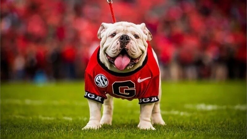 Petition · Bring Buffalo Sauce Back To Highline Bar in Chicago ...