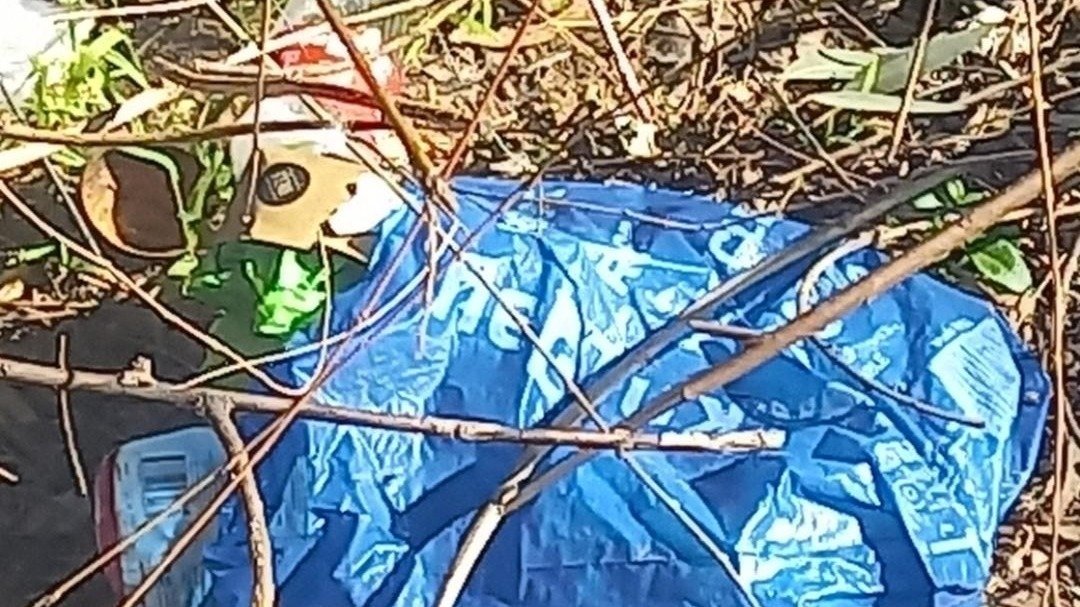 Petition · Pick n Pay - Stop the use of Plastic Bags - South Africa ...