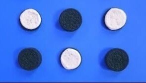 Petition · Sell Oreos without the cream in stores. – All cookie no ...