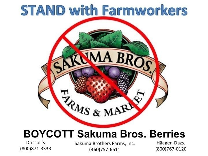 Petition · Sakuma Bros. Farm: Do the right thing! We will not buy ...