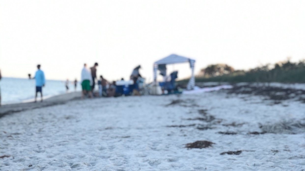 Petition · Petition against the reopening of Florida beaches amid the ...
