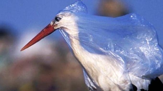 Petition · No plastic to save Wild Life - United States · Change.org