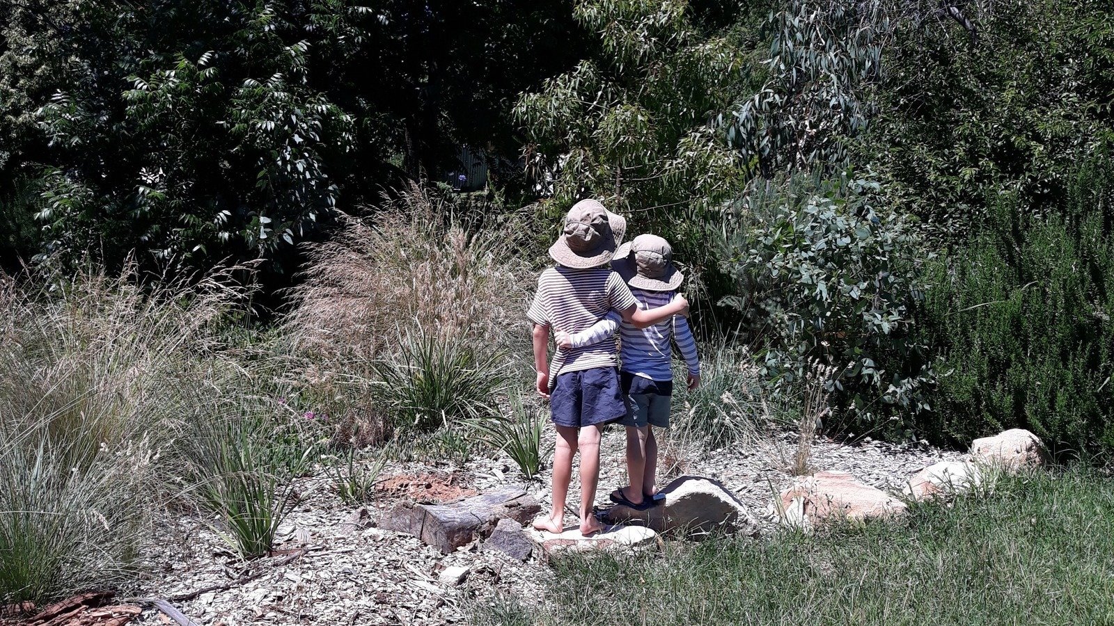 Petition · Amazon - help us save the Amazon! - Australia · Change.org